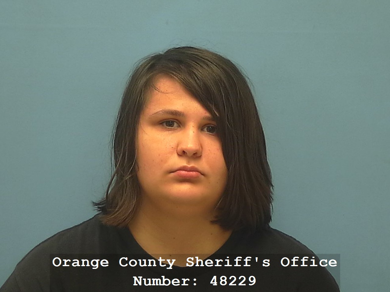 Daughter arrested after reportedly stabbing mother | Orange Leader