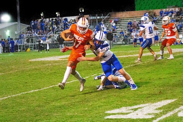 Bobcats dominate Buna, ready for playoffs | Orange Leader
